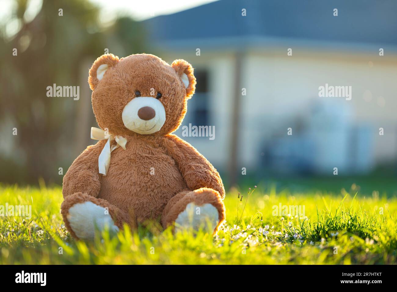 Big plush teddy bear sitting alone on green grass lawn in summer ...