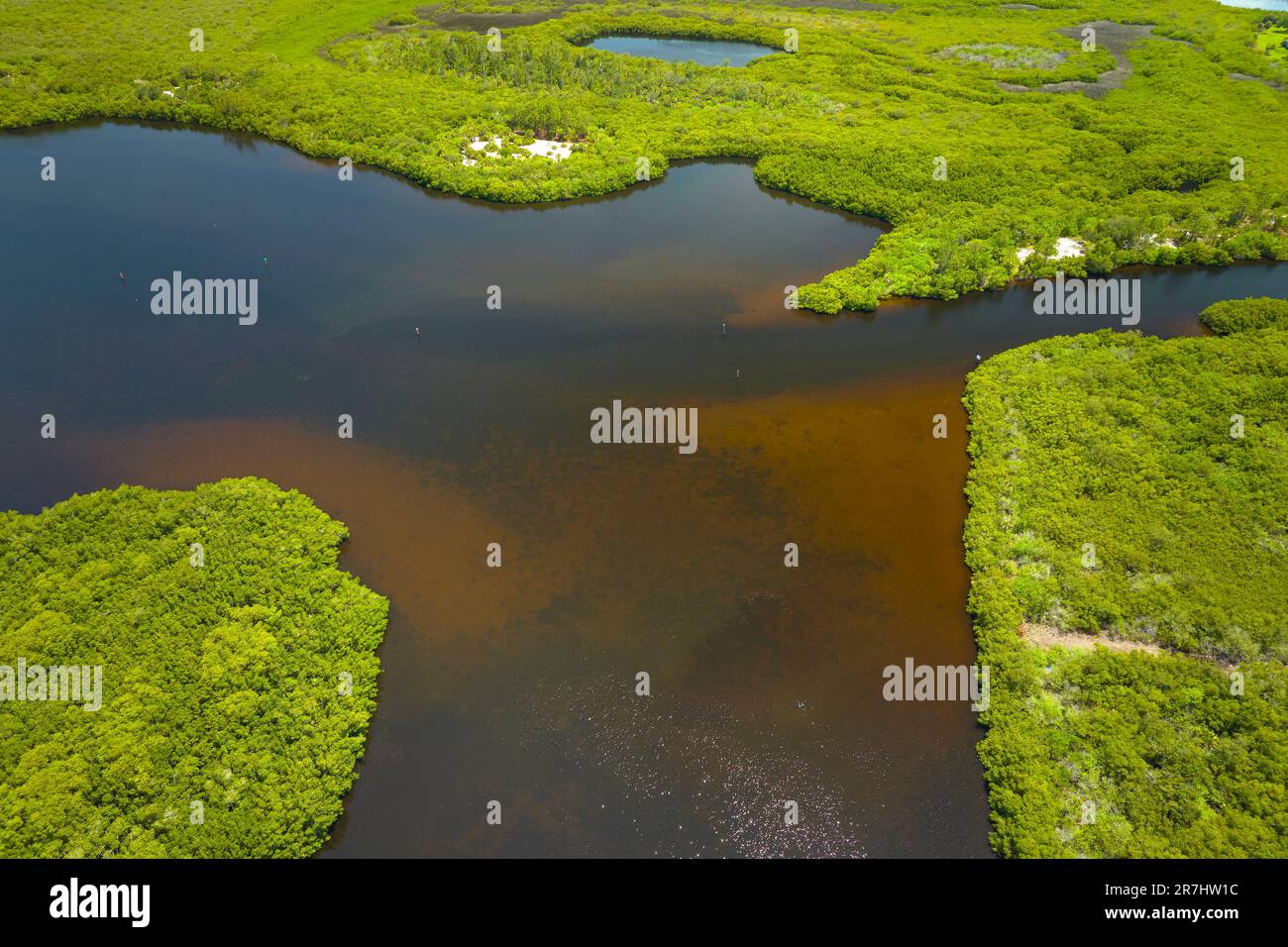 Overhead view of Everglades swamp with green vegetation between water ...