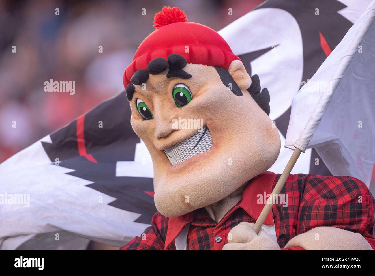 (Ottawa, Canada---15 June 2023) Ottawa Redblacks mascot Big Joe in ...