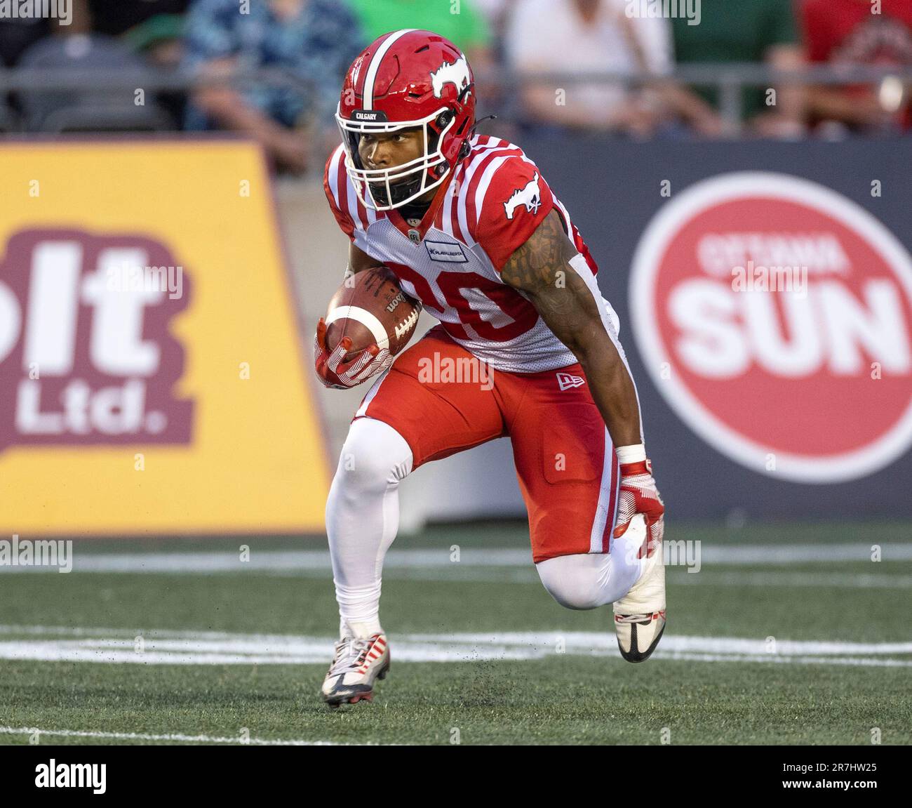(Ottawa, Canada---15 June 2023) Peyton Logan (20) of the Calgary Stampeders in Canadian Football ...