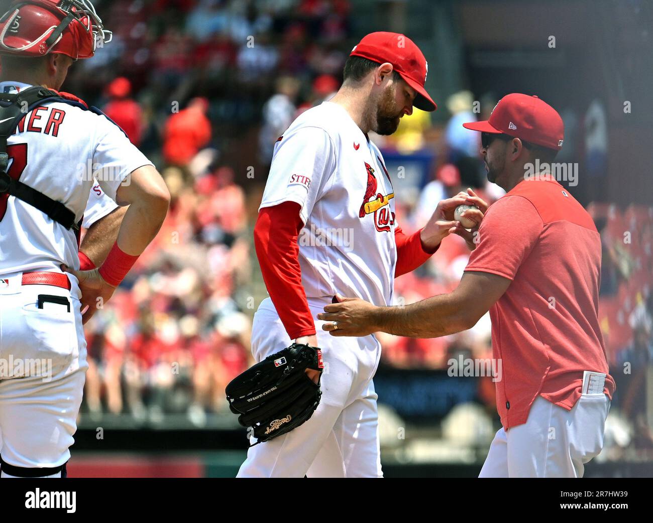 ST. LOUIS, MO - JUNE 14: St. Louis Cardinals manager Oli Marmol ...
