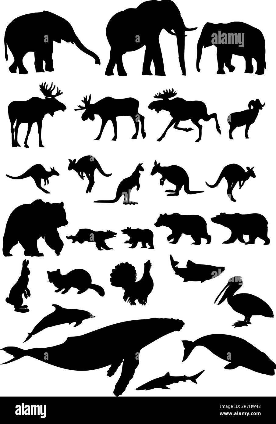Animal silhouette collection Stock Vector Image & Art - Alamy