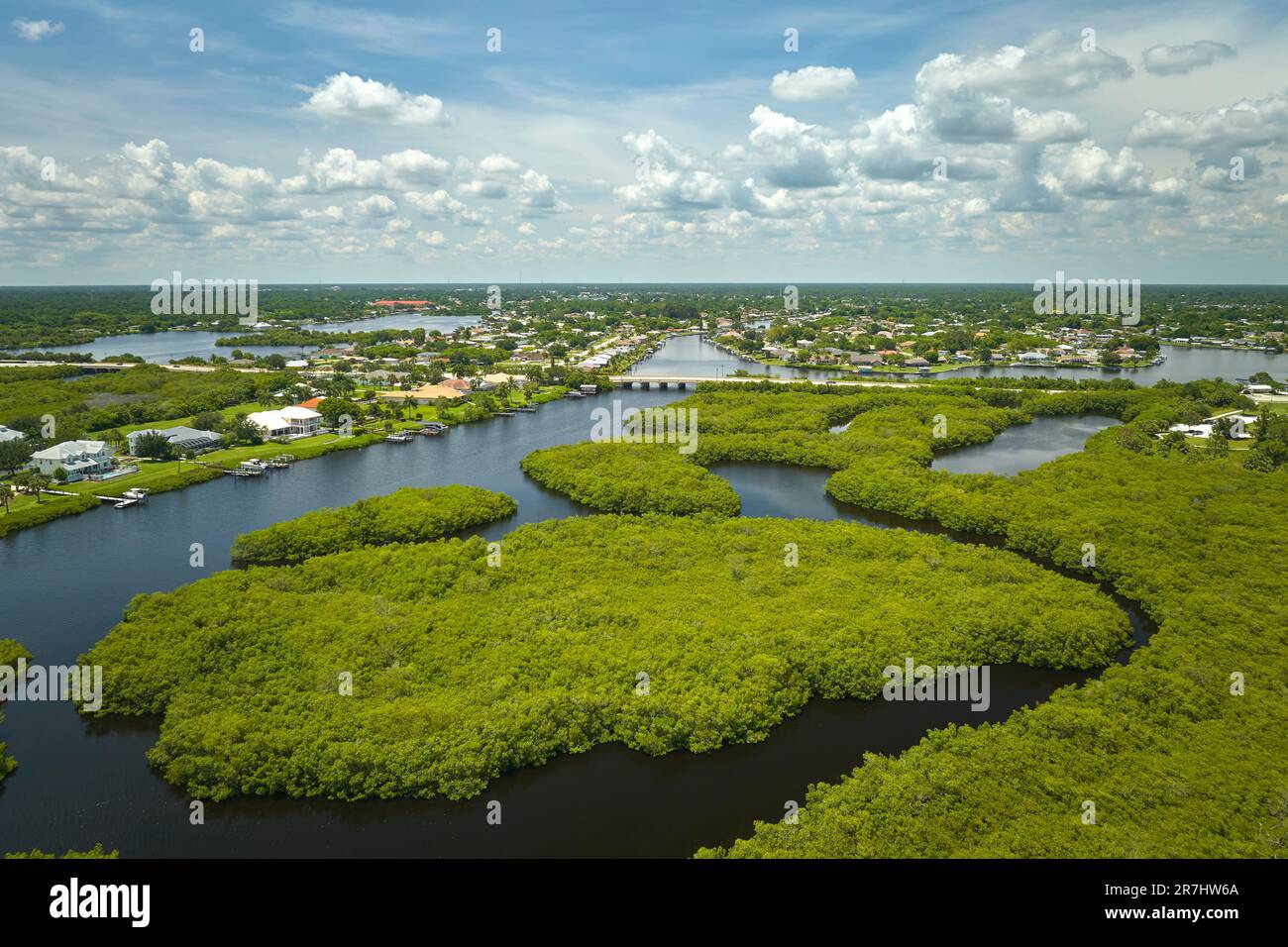 View from above of Florida everglades with green vegetation between ...