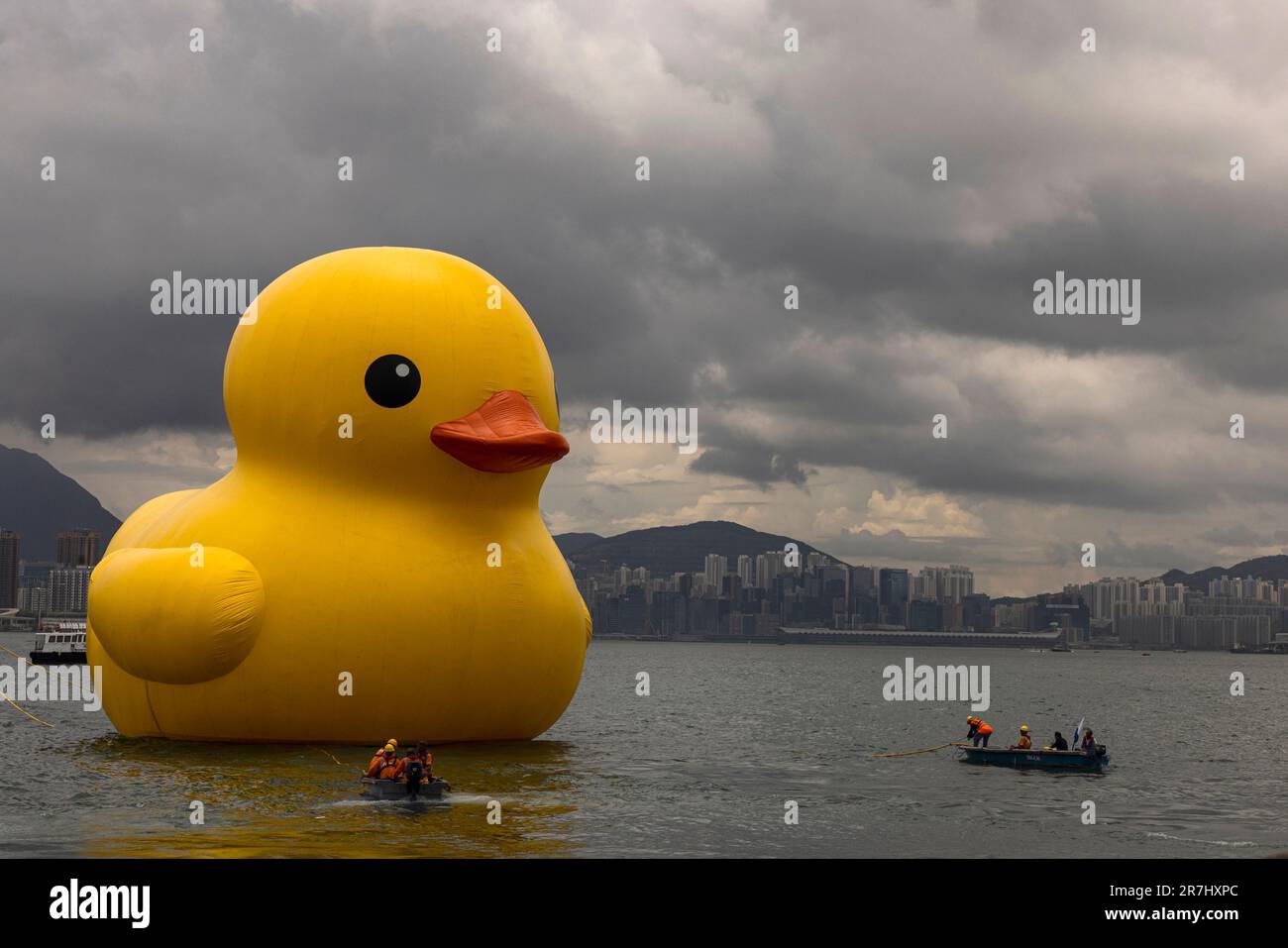 An art installation called "Double Ducks" by Dutch artist Florentijn ...