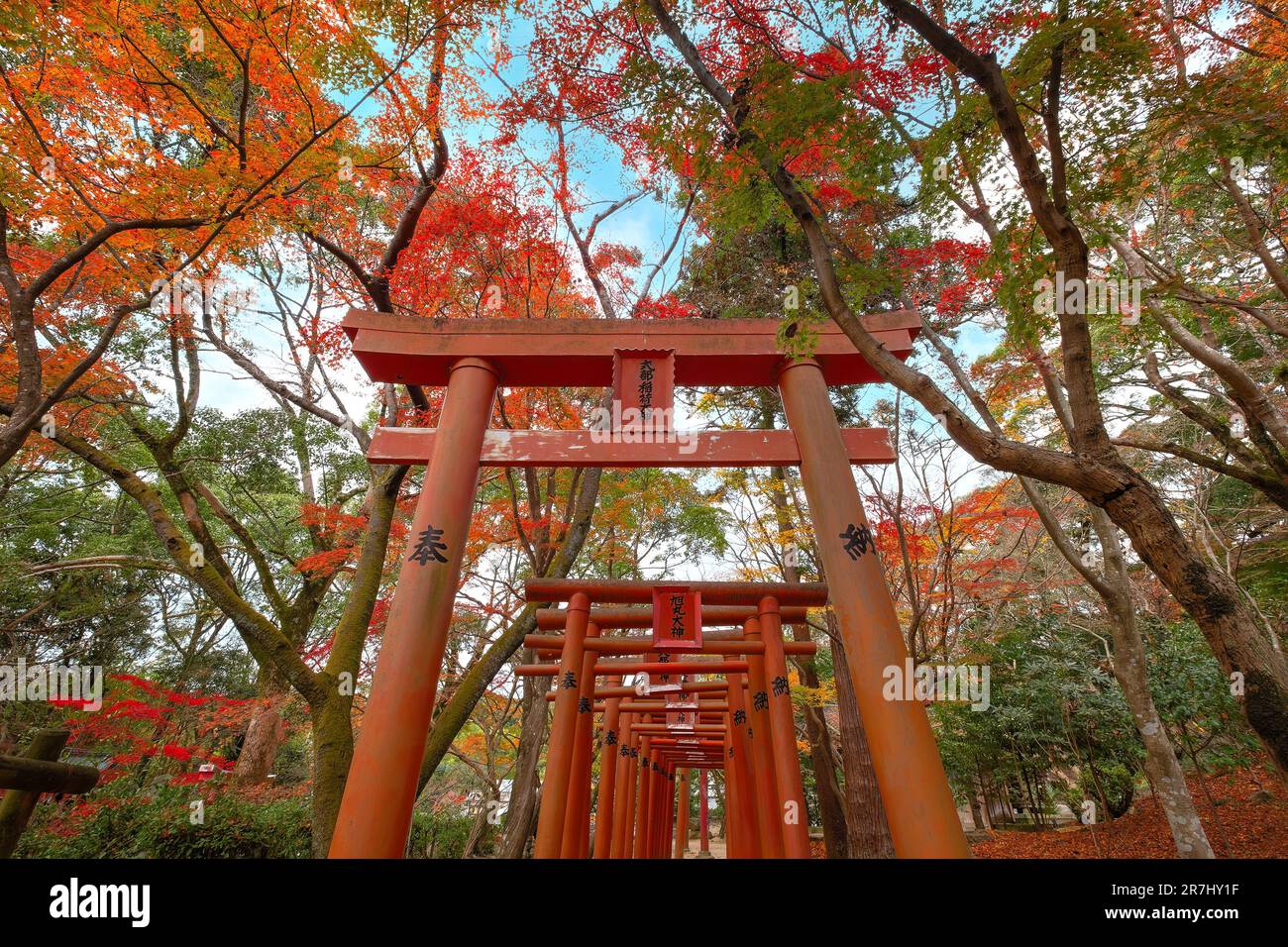 Fukuoka, Japan - Nov 30 2022: Homangu Kamado shrine located at Mt ...