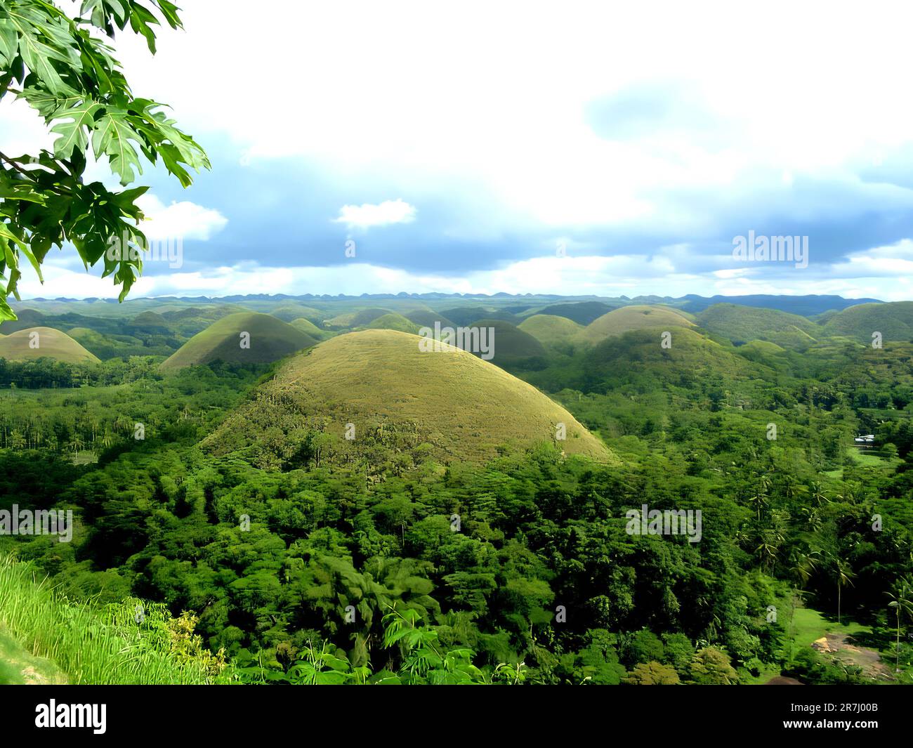 Photo of the Chocolate Hills scattered around Sagbayan, Batuan, Carmen ...
