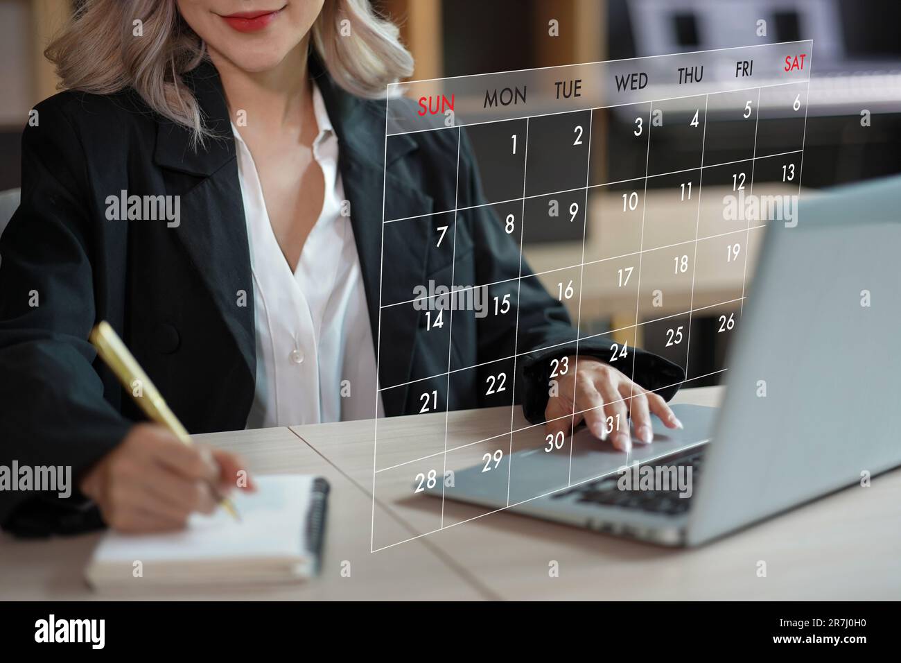 Highlight Reminder Appointment for the Calendar and the Organizer's ...