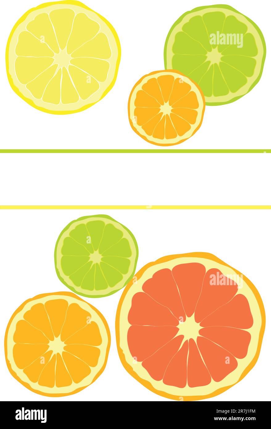 circle of lemon lime orange and grapefruit Stock Vector Image & Art - Alamy