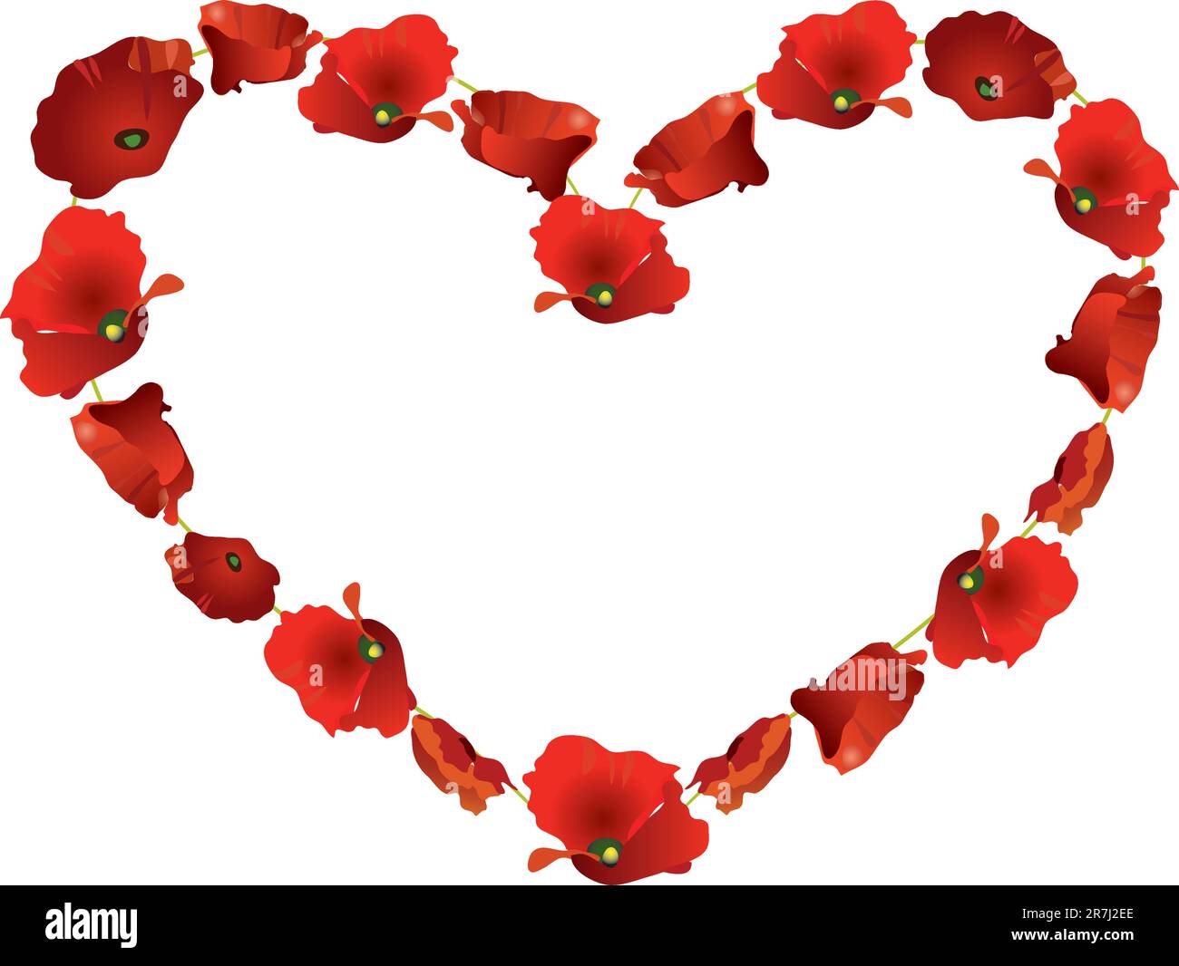 Nice poppy picture Stock Vector Images - Alamy