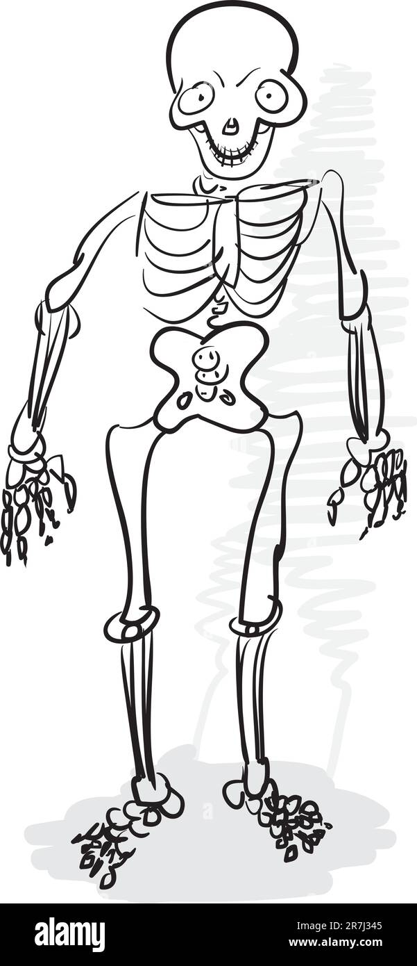 Rough stylized monochrome drawing - a human skeleton vector eps8 Stock ...