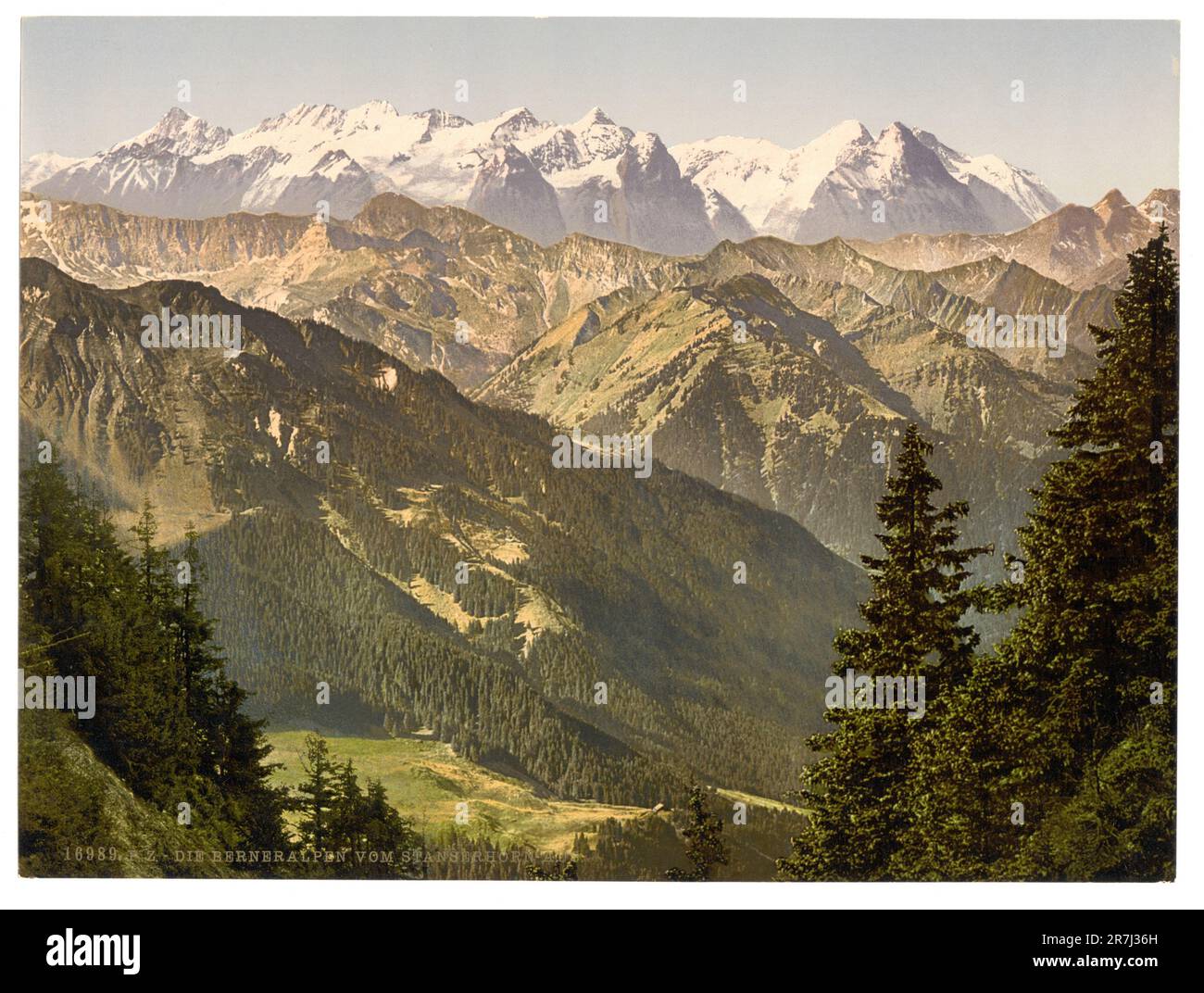 Bernese Alps, from Stanserhorn, Bernese Oberland, Switzerland 1890 ...