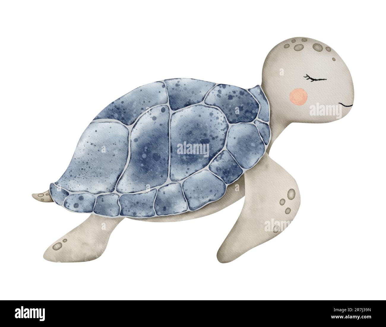 Cute Sea Turtle in blue and grey color on isolated background ...