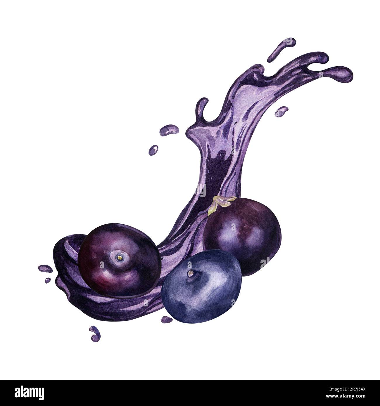 Whole acai berries Cut Out Stock Images & Pictures - Alamy