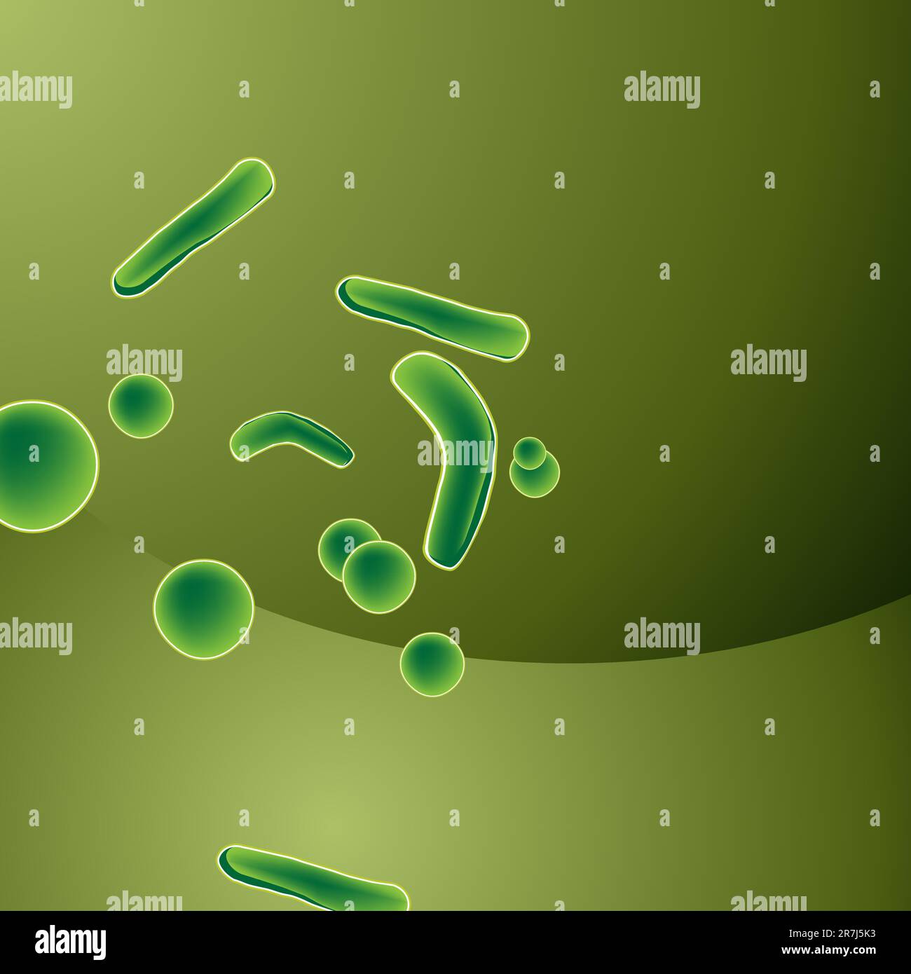 An image of a microscopic bacteria background Stock Vector Image & Art ...