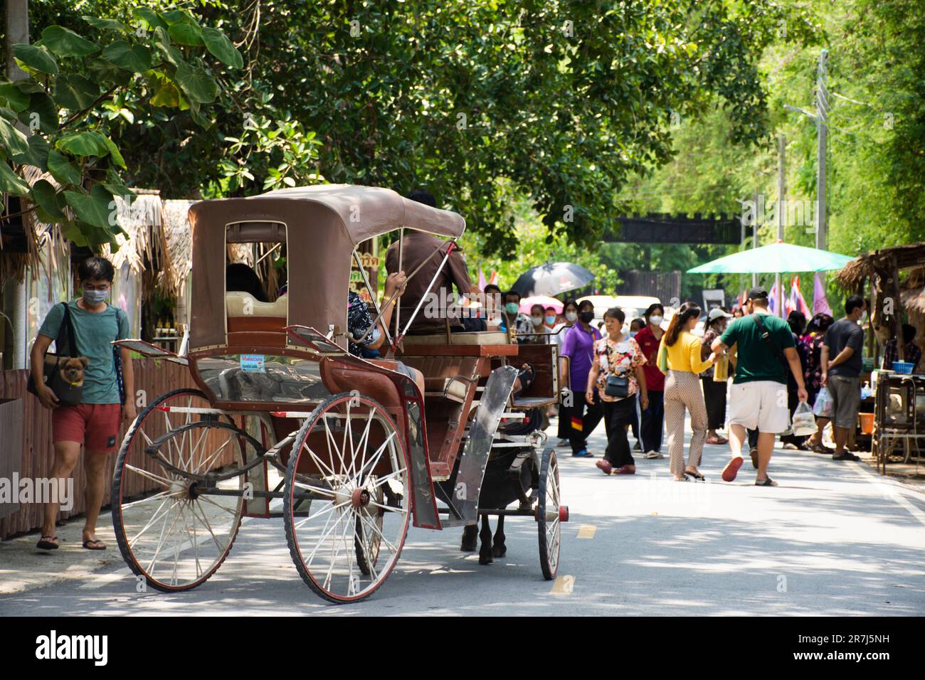 Thai rider riding horse drawn carriages for service travelers people ...