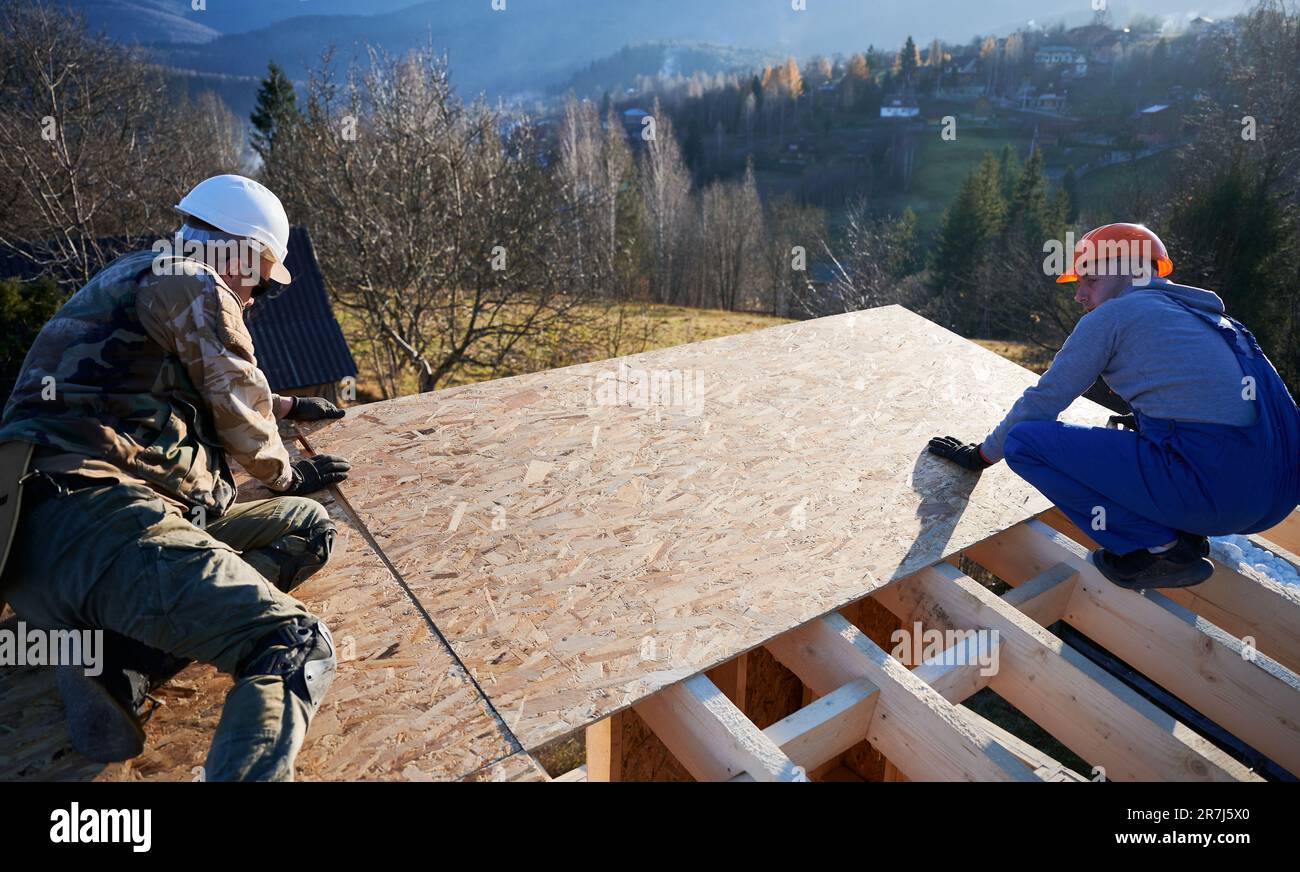 Carpenters mounting wooden OSB panel on rooftop of future cottage. Men ...