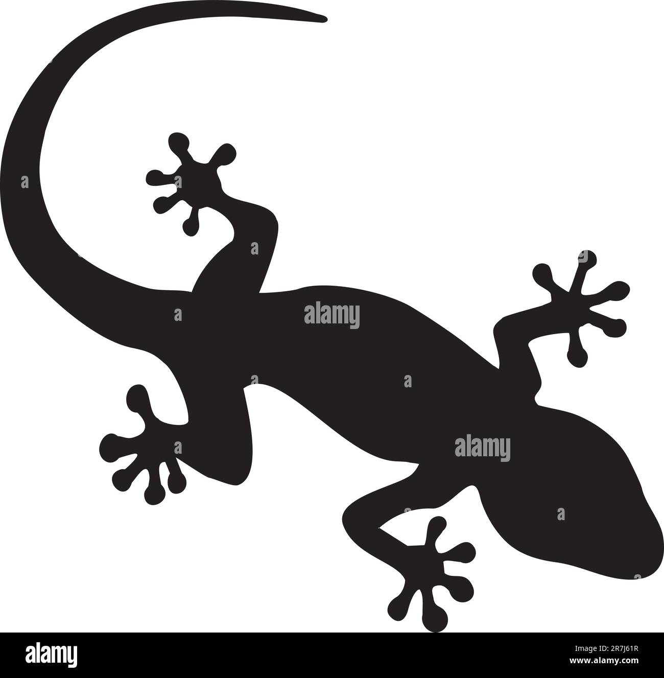 gecko tattoo isolated on withe Stock Vector Image & Art - Alamy