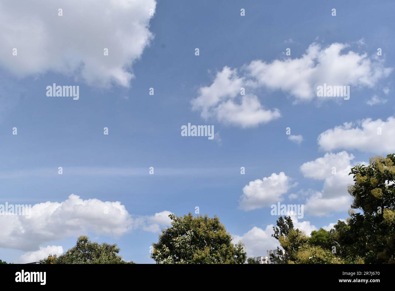 Clean blue sky and trees Stock Photo - Alamy