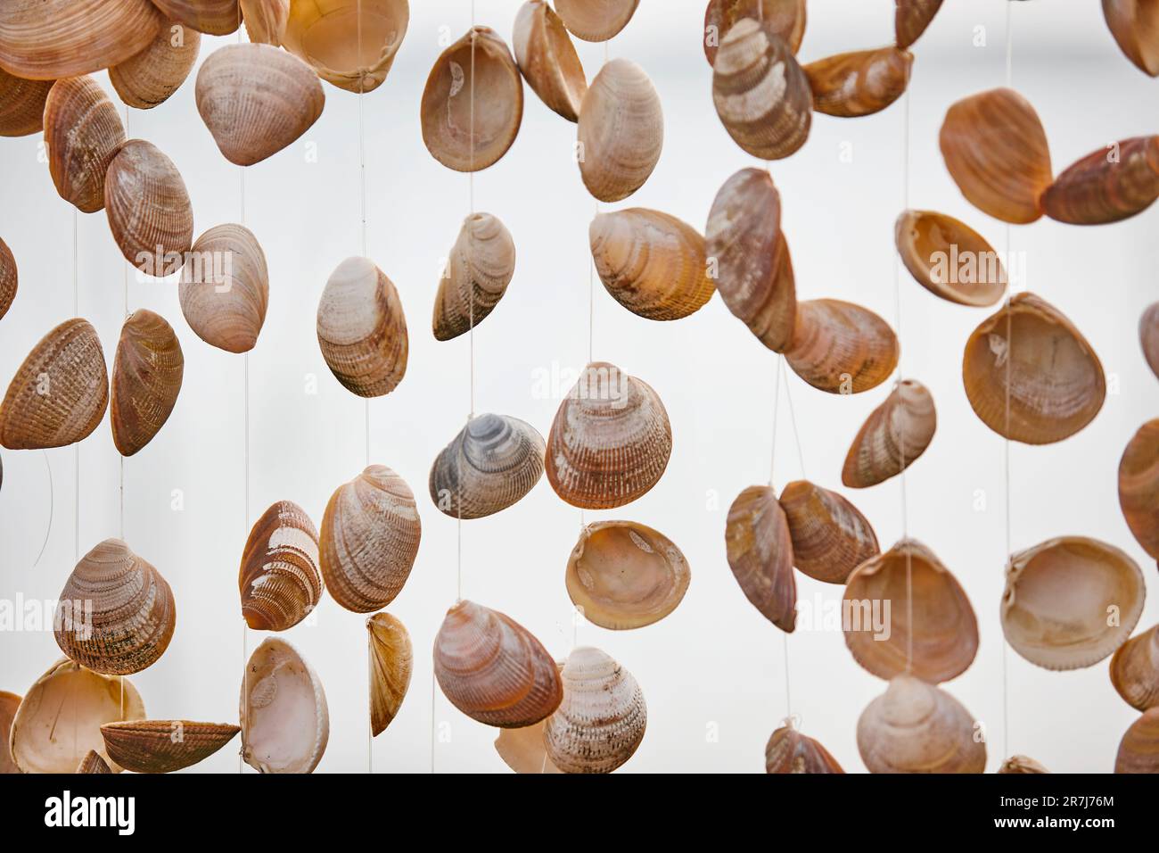 Nylon natural hi-res stock photography and images - Alamy