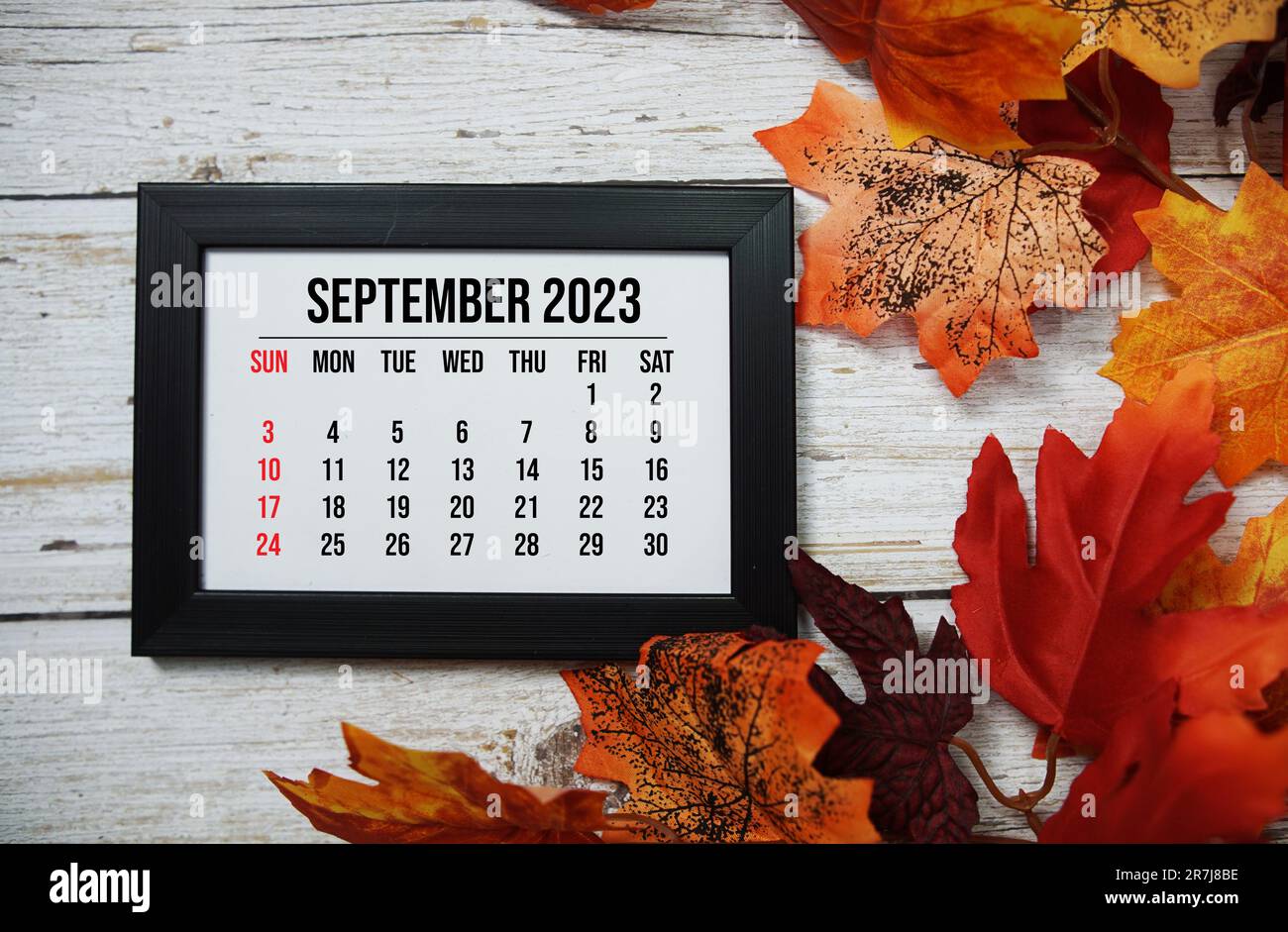 September 2023 monthly calendar with maple leaf on wooden background ...