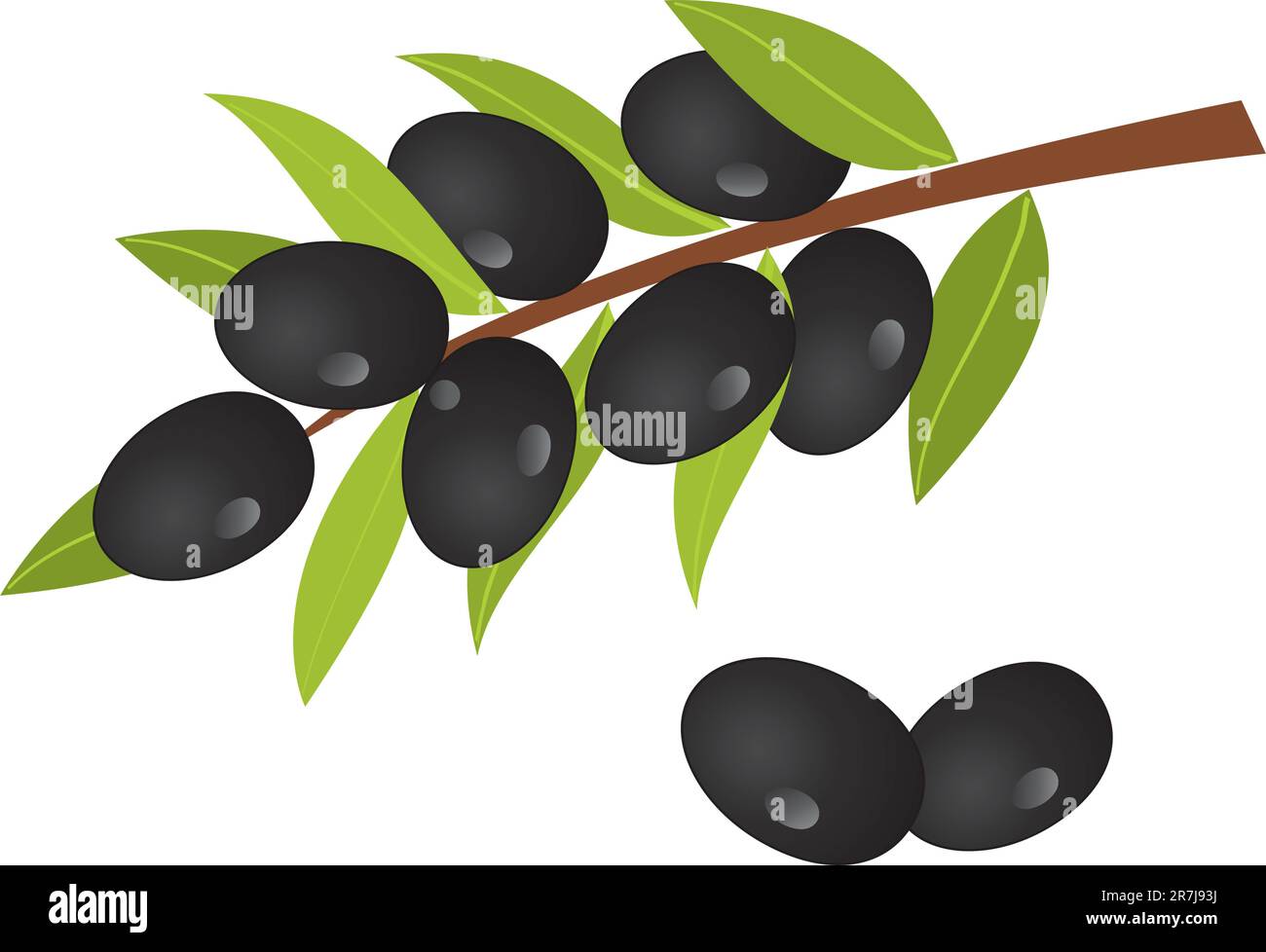 Branch structure Stock Vector Images - Alamy