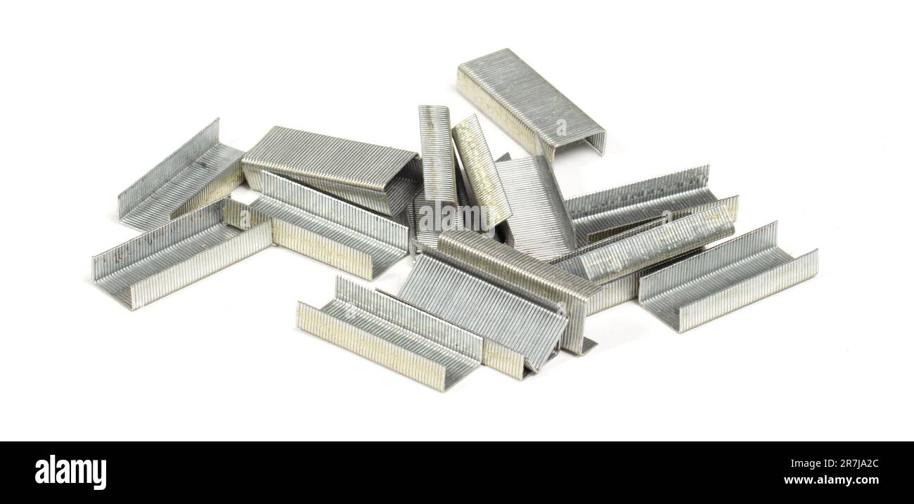 Many staples isolated on a white background Stock Photo - Alamy
