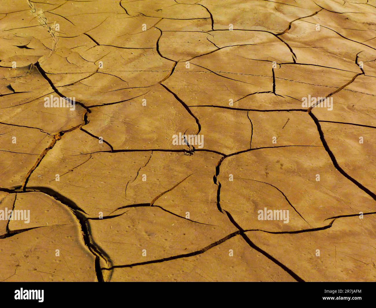 Silty soil hi-res stock photography and images - Alamy