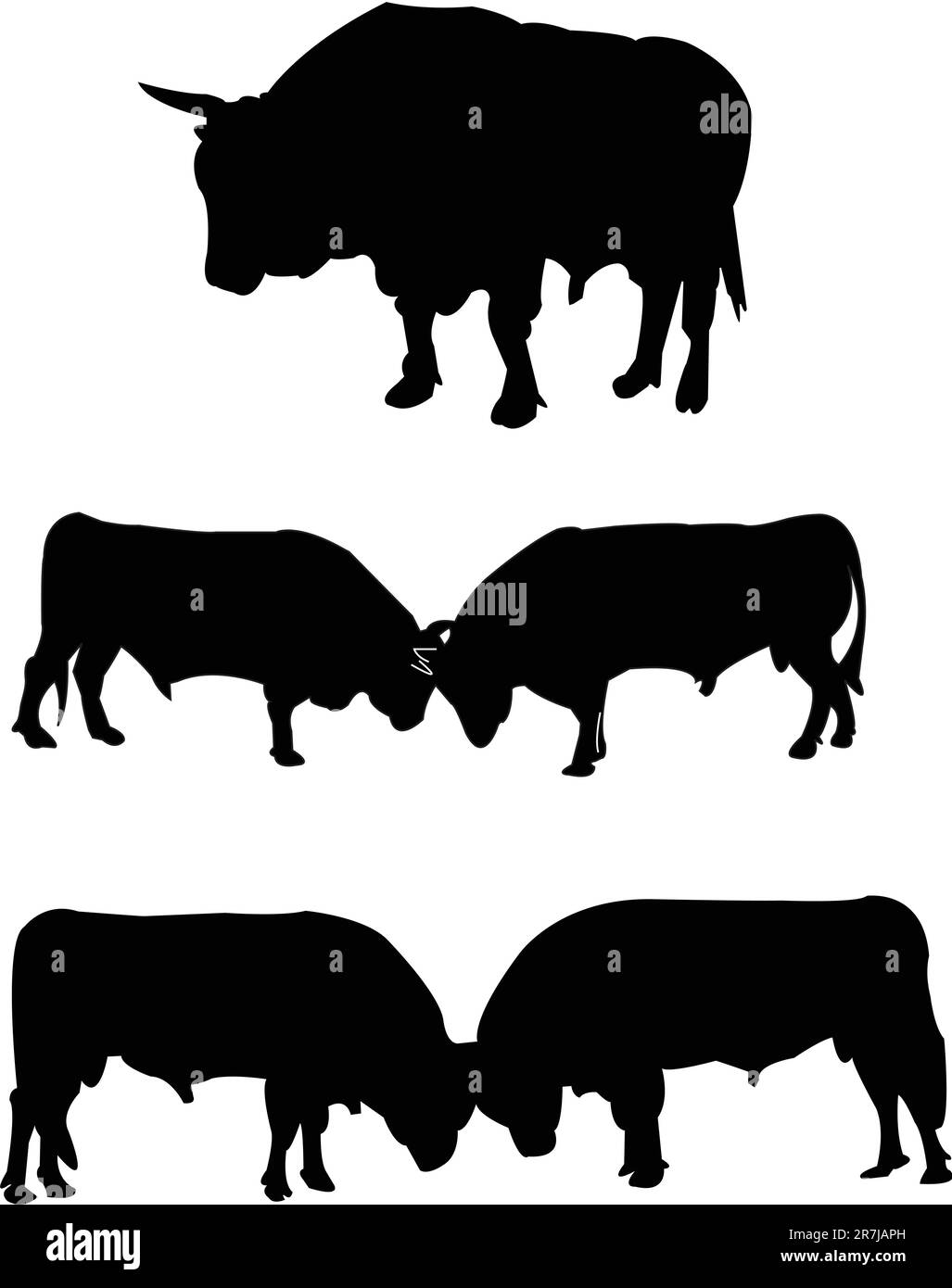 bulls silhouette collection - vector Stock Vector Image & Art - Alamy