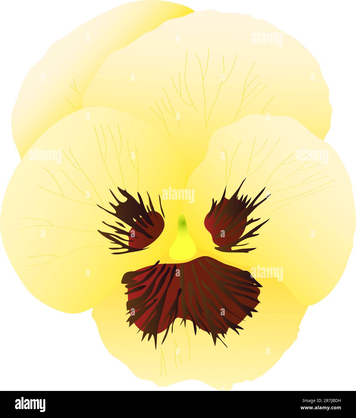 Close up pansy Stock Vector Images - Alamy