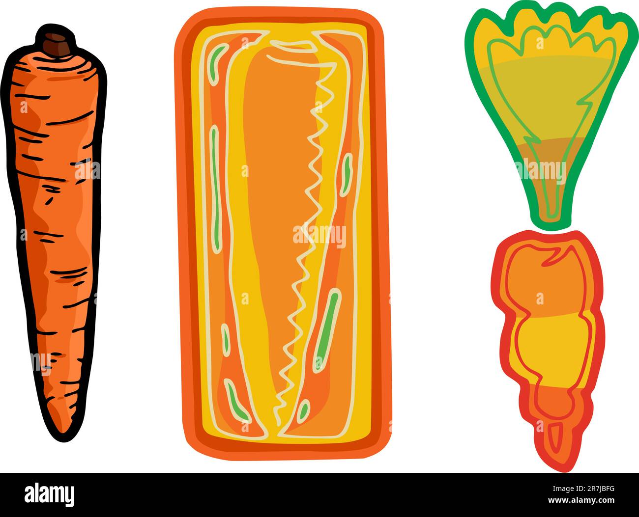 Three cartoon variations of a typical long carrot Stock Vector Image ...