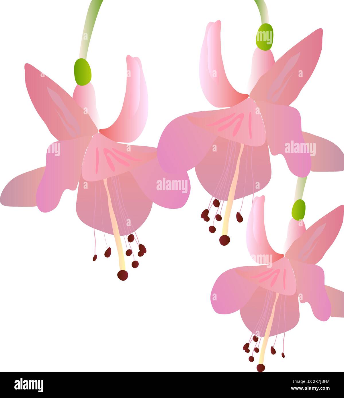 Pretty pink blossom Stock Vector Images - Alamy