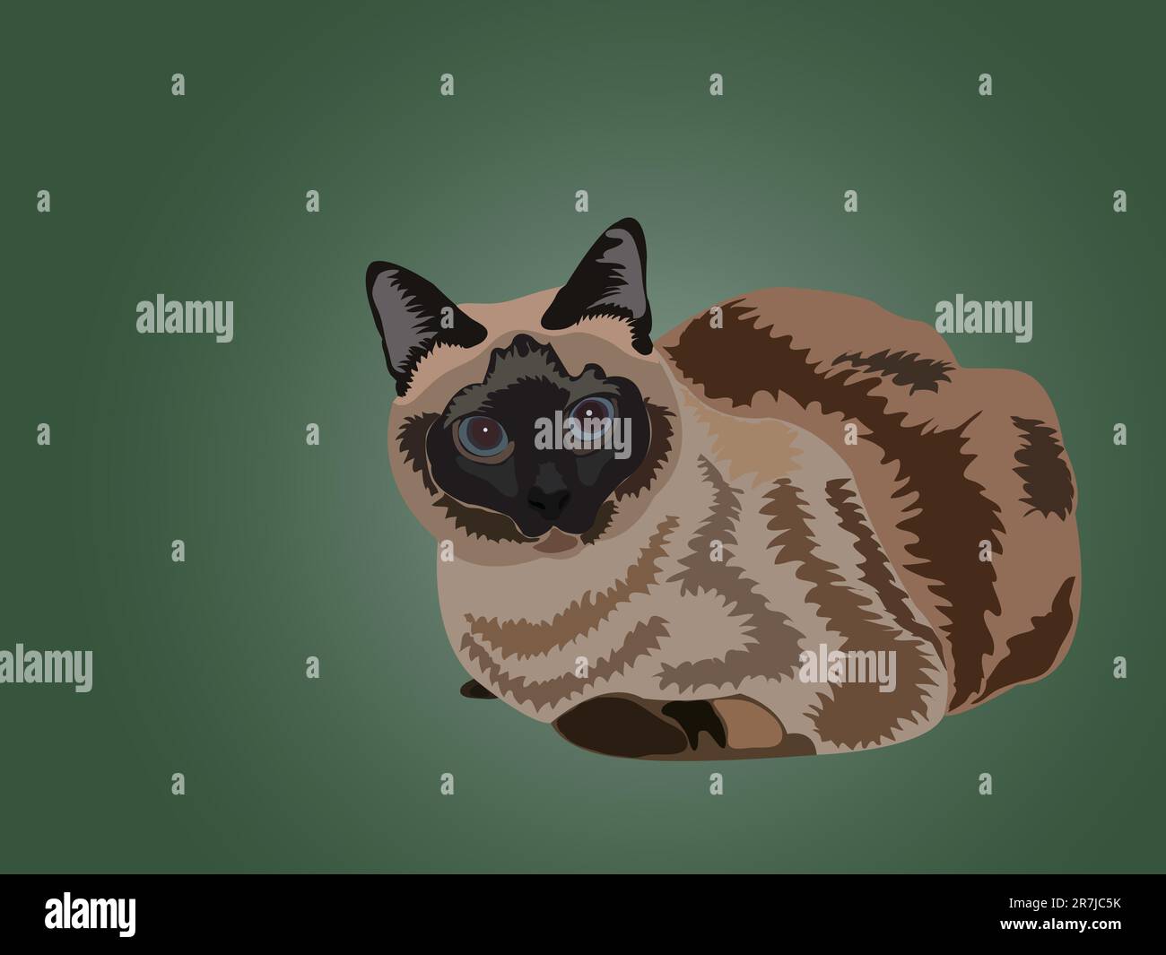 Siamese cat sitting color Stock Vector Images - Alamy