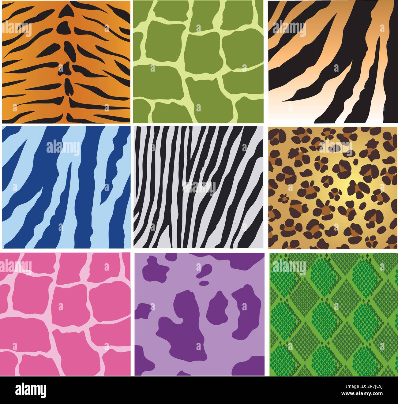 vector illustration of different skin of different animals Stock Vector ...