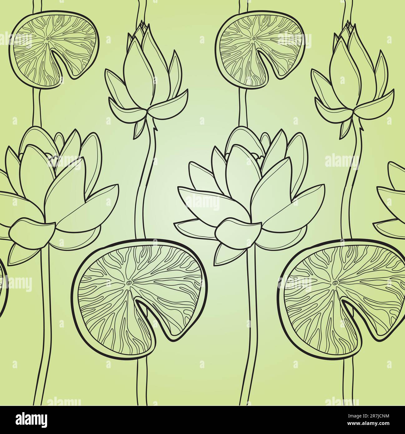 vector image of blossom lotus flower, seamless texture Stock Vector ...