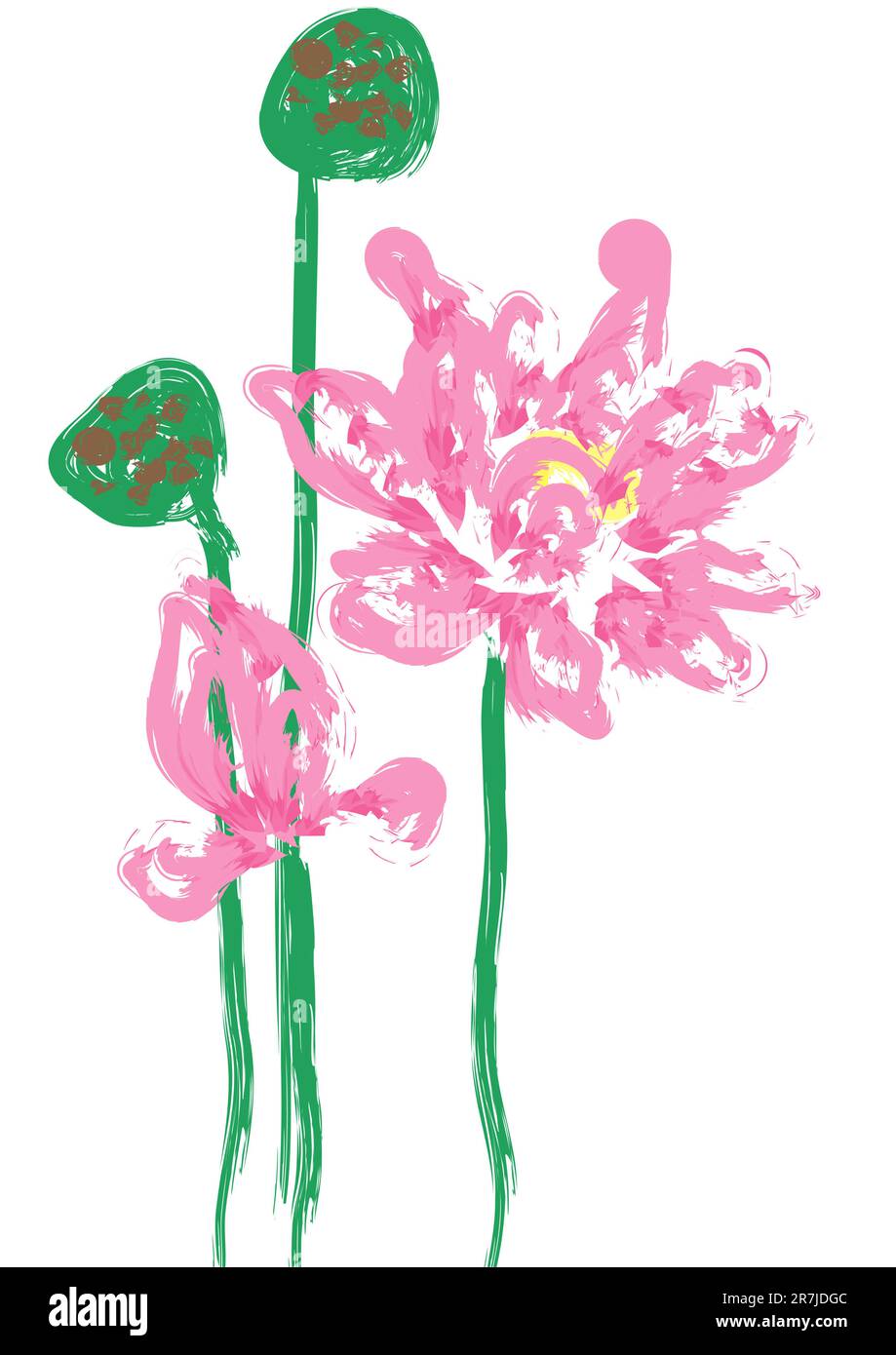 vector image of lotus flower and seedpod Stock Vector Image & Art - Alamy