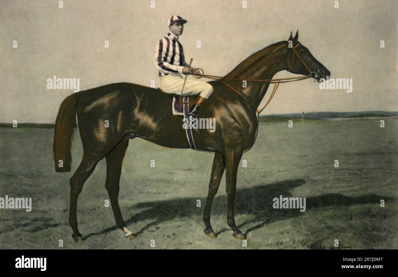 The horse Esquilino winner of the Royal Derby 1903, painting by Italian ...