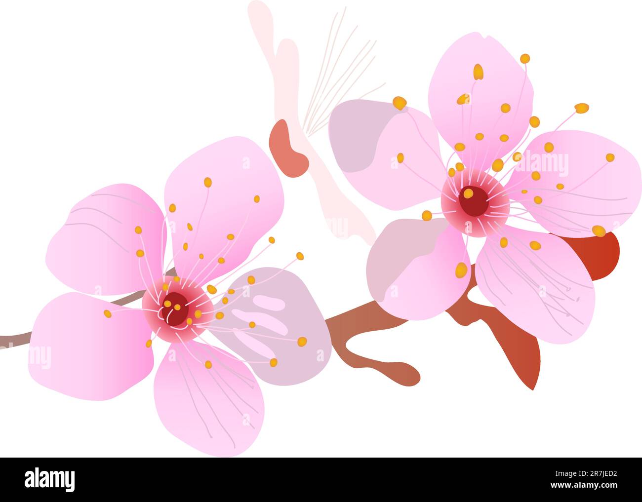 Crab Apple Tree Stock Vector Images Alamy