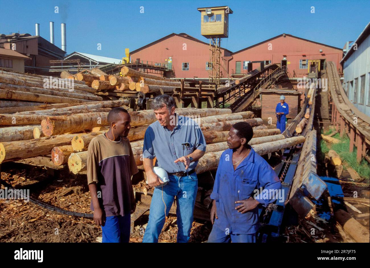 South Africa Mpumalanga Canadian manager from sawmill talks to factory ...