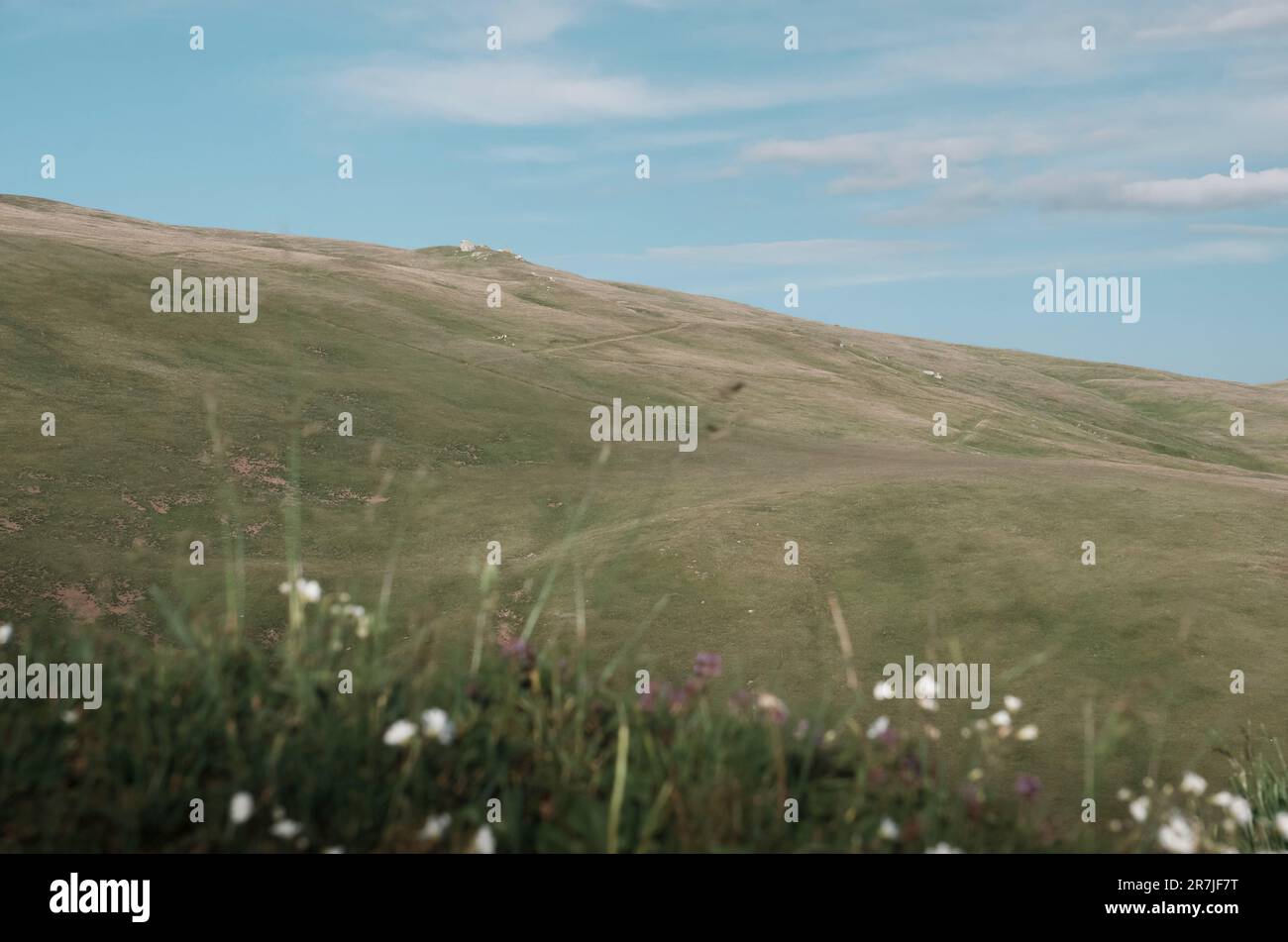 Beautiful & clean plain Stock Photo - Alamy