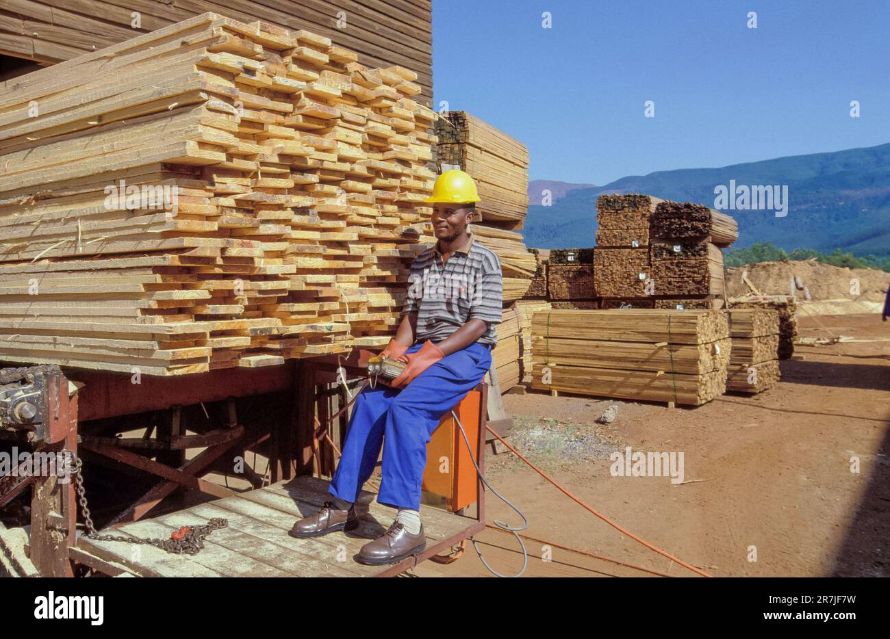 South Africa, Mpumalanga. Employee of Global Forest , wood industry, in ...
