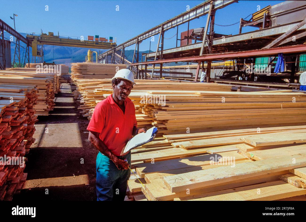 South Africa, Mpumalanga. An employee of Global Forest timber industry ...