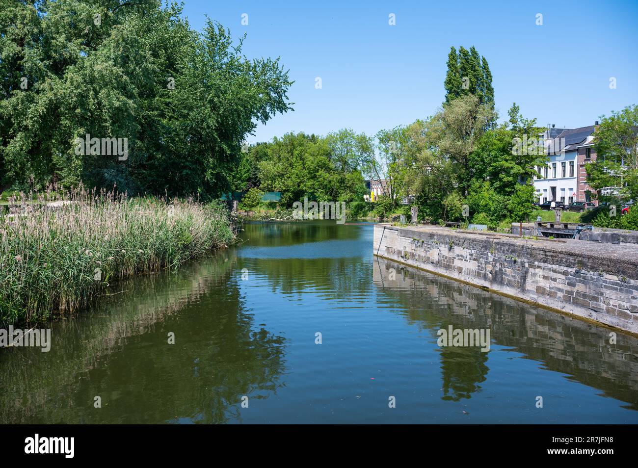 Dendermonde, East Flemish Region, Belgium - June 4, 2023 - Trees ...