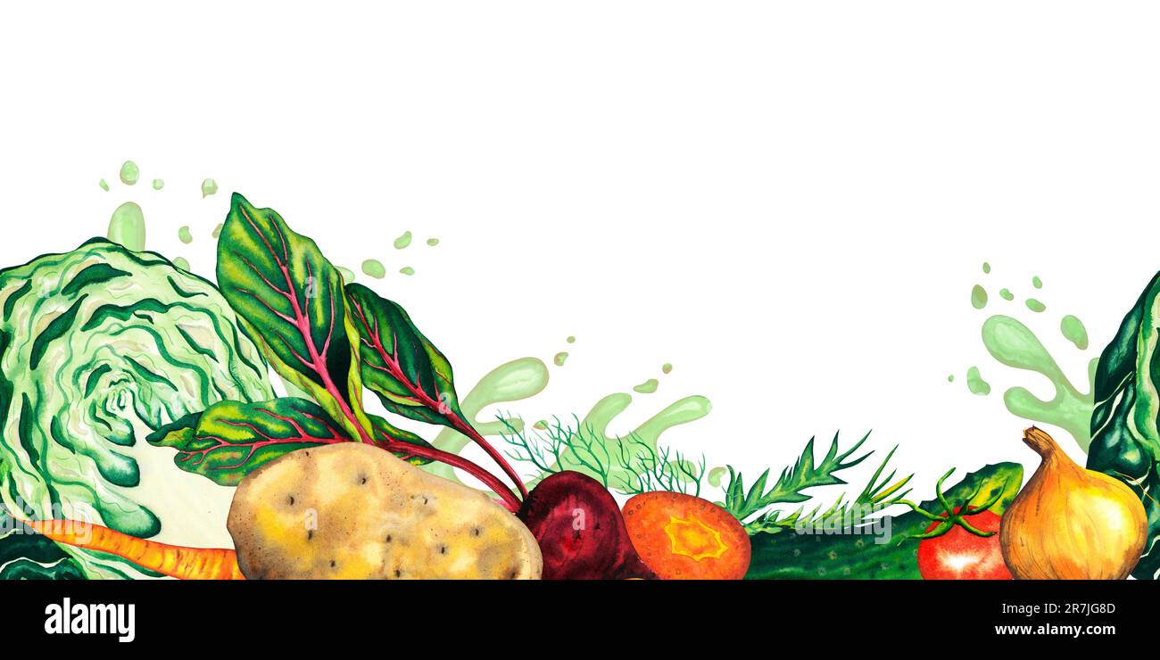Watercolor vegetables seamless horizontal border with cabbage, cut ...