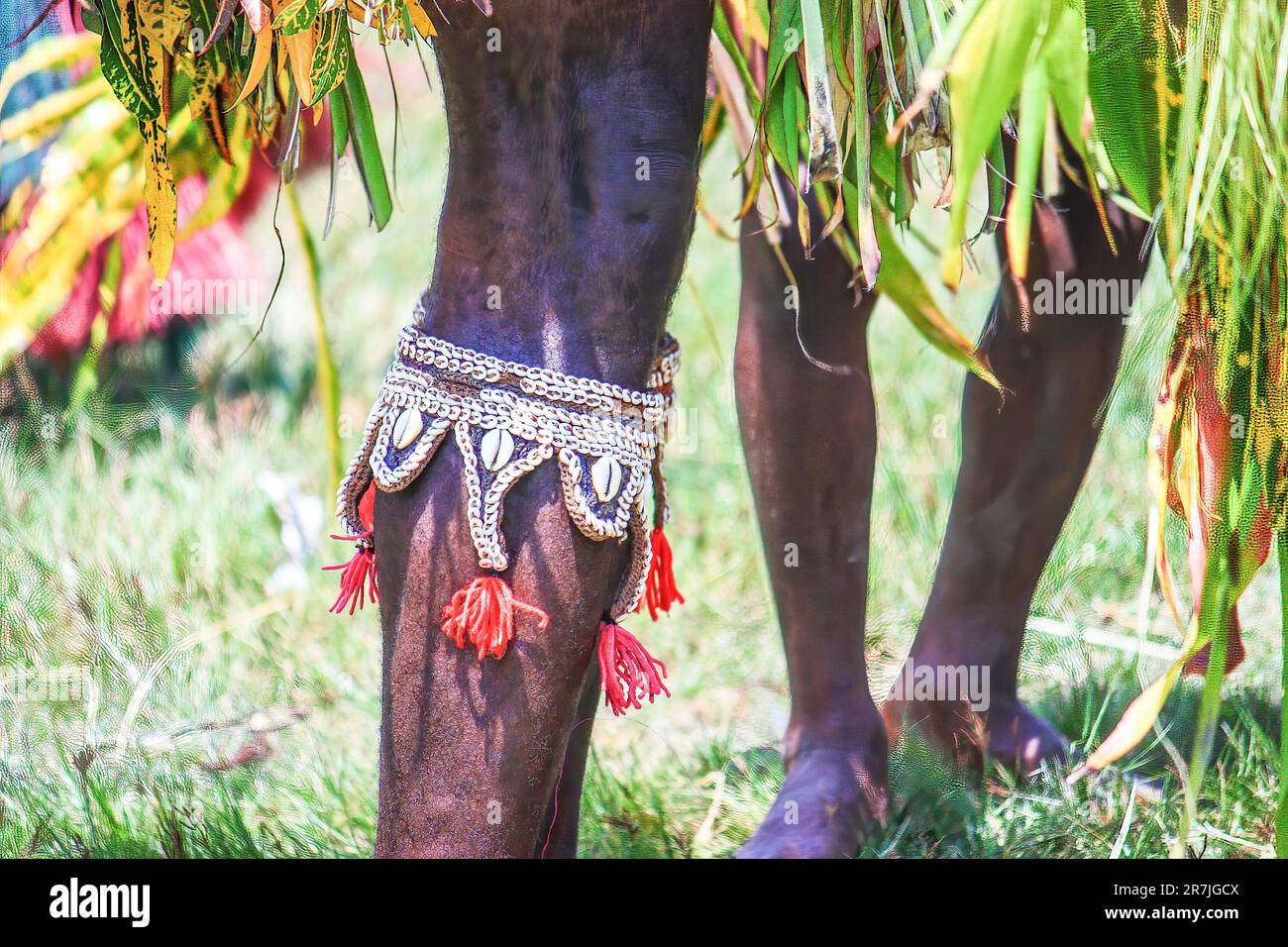 Png traditional dress hi-res stock photography and images - Alamy