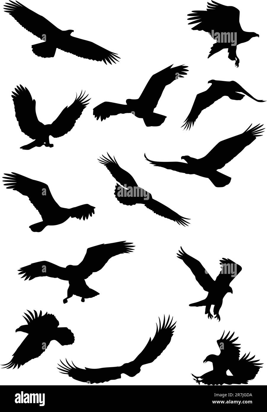 Bald eagle silhouette Cut Out Stock Images & Pictures - Alamy