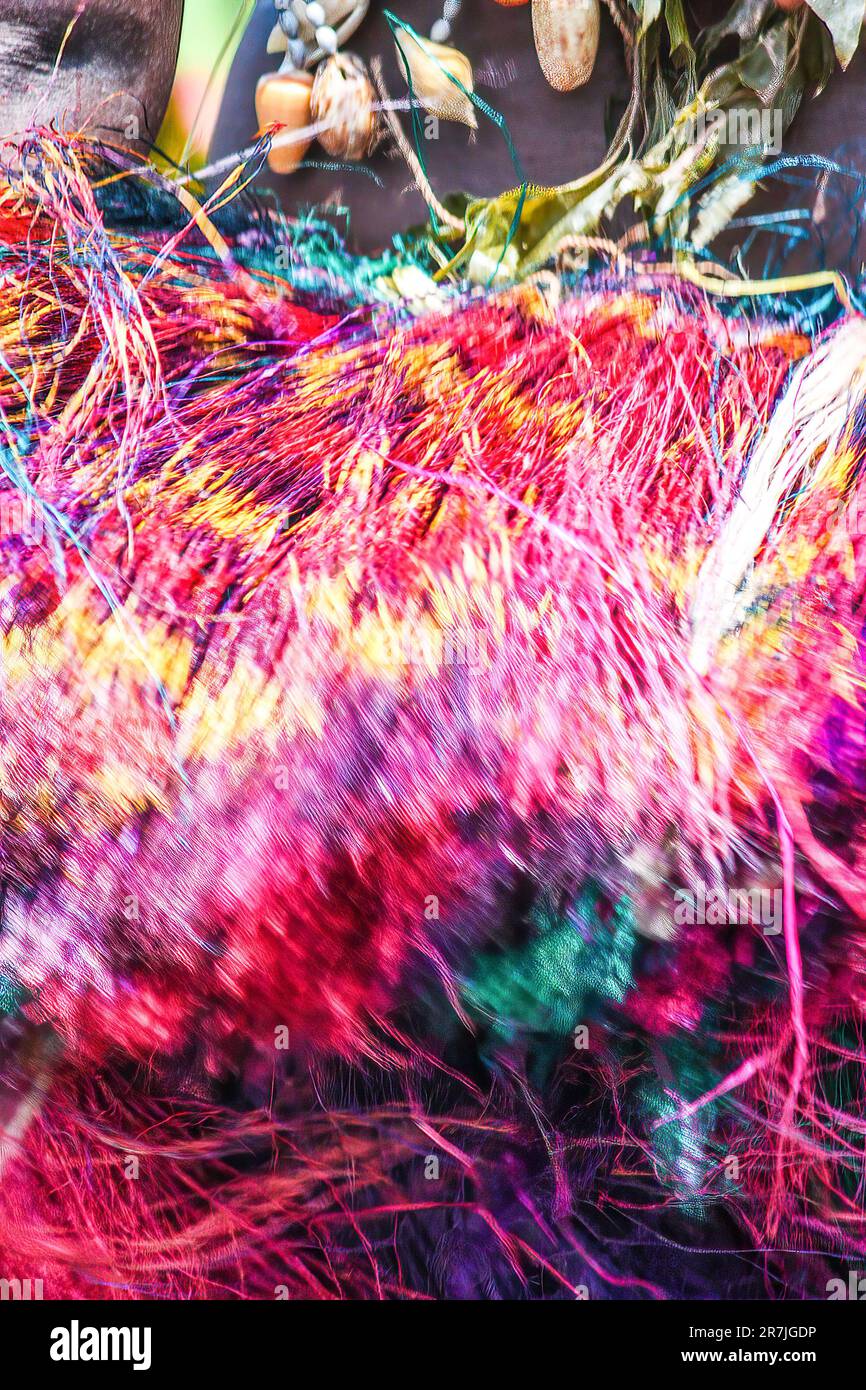 Papua new guinea grass skirts hi-res stock photography and images - Alamy