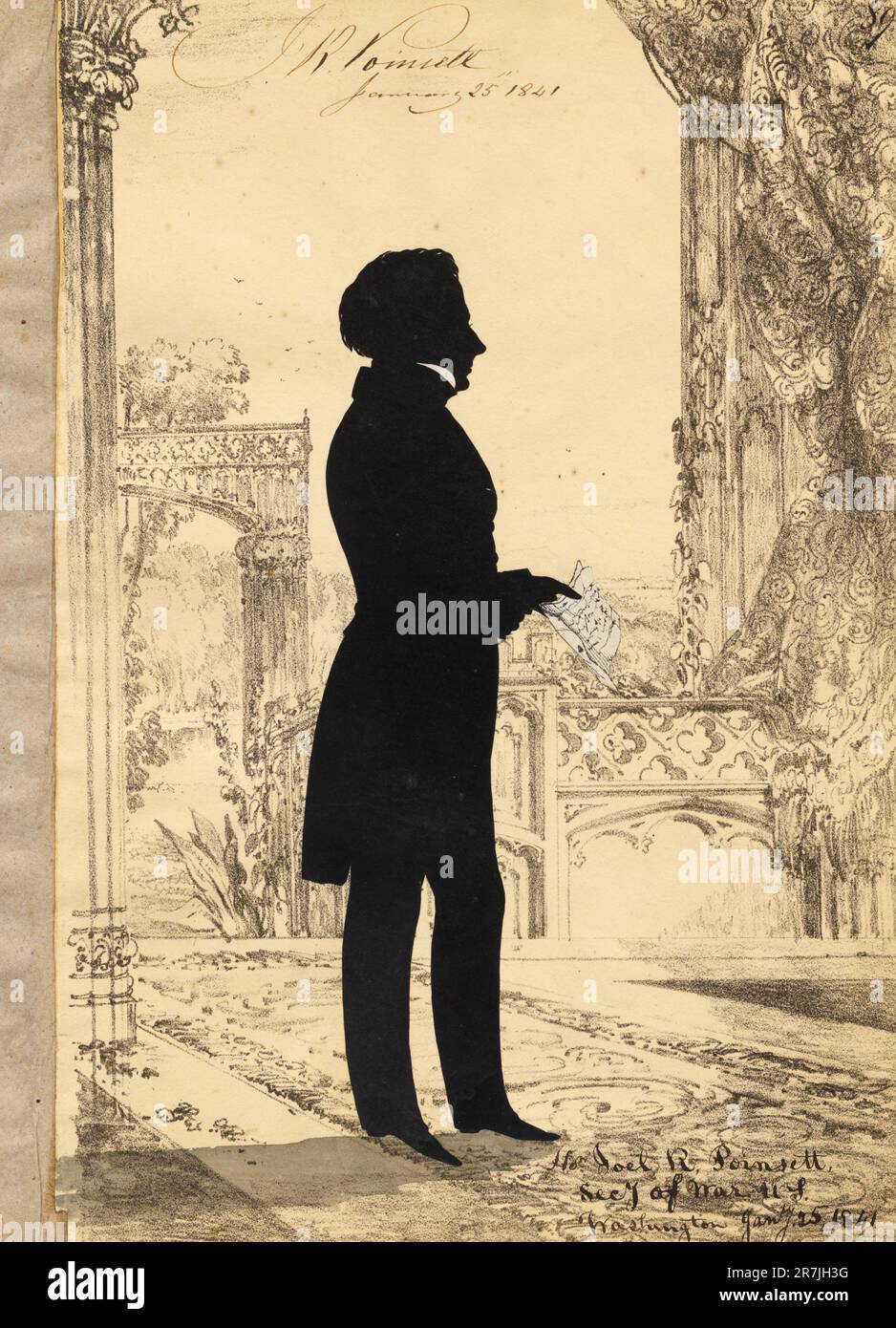 Diplomats trees hi-res stock photography and images - Alamy