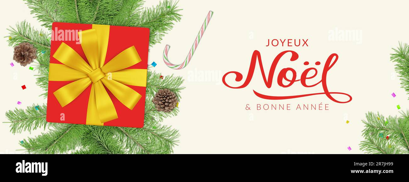 Merry Christmas and Happy New Year lettering in French (Joyeux Noël et ...