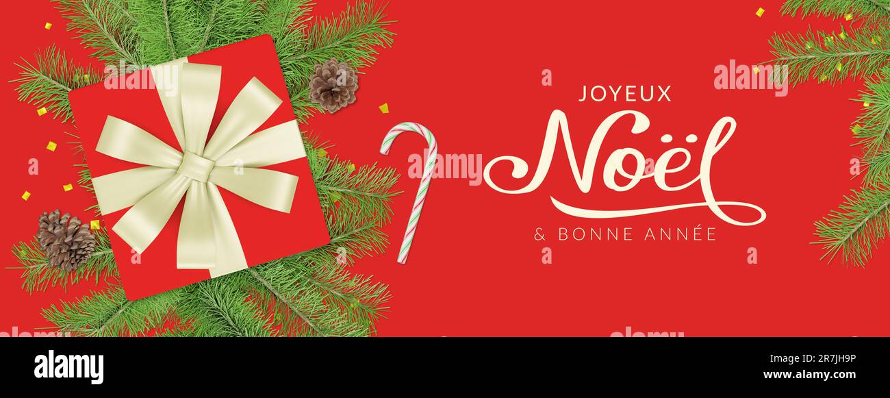 Merry Christmas and Happy New Year lettering in French (Joyeux Noël et ...