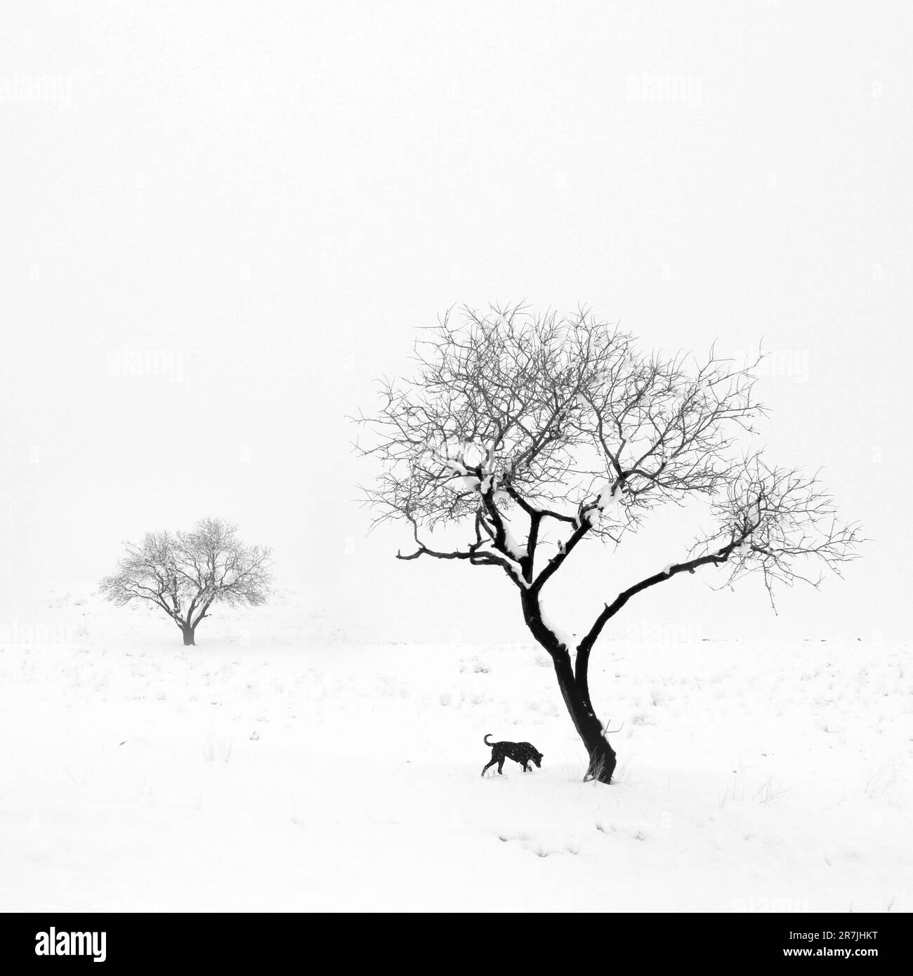 Minimalist photography is an aesthetic of omission and solitude that ...